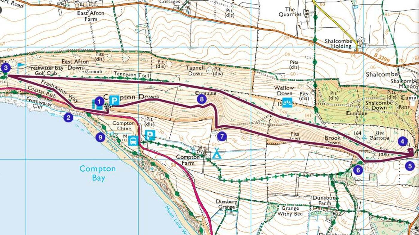 Compton Downs Walk with Butterflies and Views - 5 Miles - Explore the ...